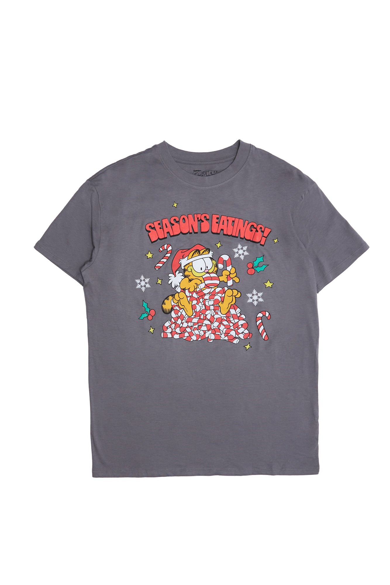 Garfield Seasons Eatings Graphic Relaxed Tee – Bluenotes